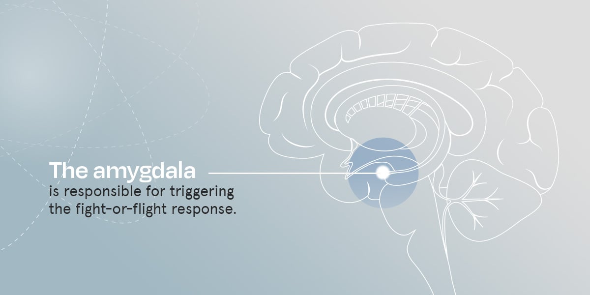 Understand Fight-or-Flight Response and Its Role in PTSD